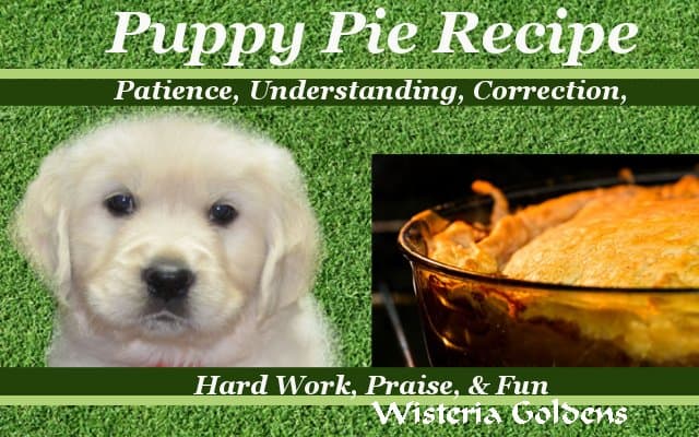Puppy Pie Recipe