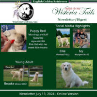 Newsletter Online - Wisteria Tails Archive - Wisteria Goldens