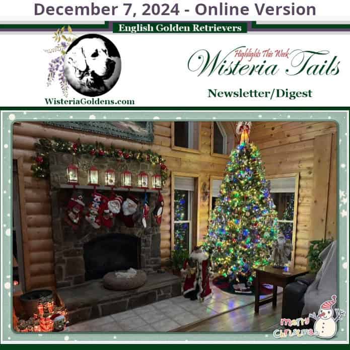 Wisteria Tails December 7, 2024 - Newsletter Online Version